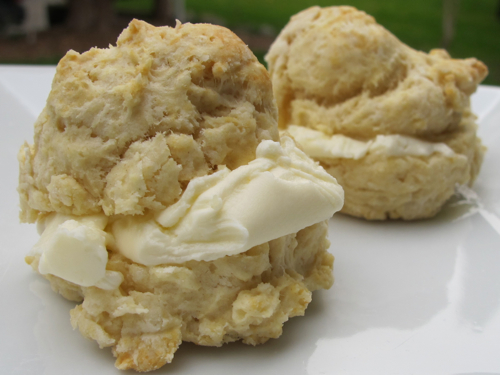 Bite Size Baking Powder Biscuits – Gazing In