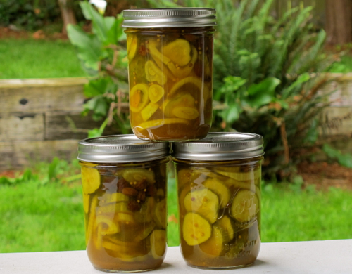 Curried Cucumber Pickles from The Pickled Pantry Cookbook – Gazing In