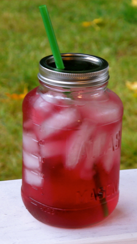 DIY Adult Sippy Lid for Mason Jars – Gazing In