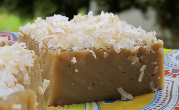 Vegan Coconut Pudding “Bars” – Gazing In