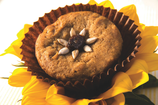 Sweet Debbie’s Organic Treats Review & Giveaway – Gazing In